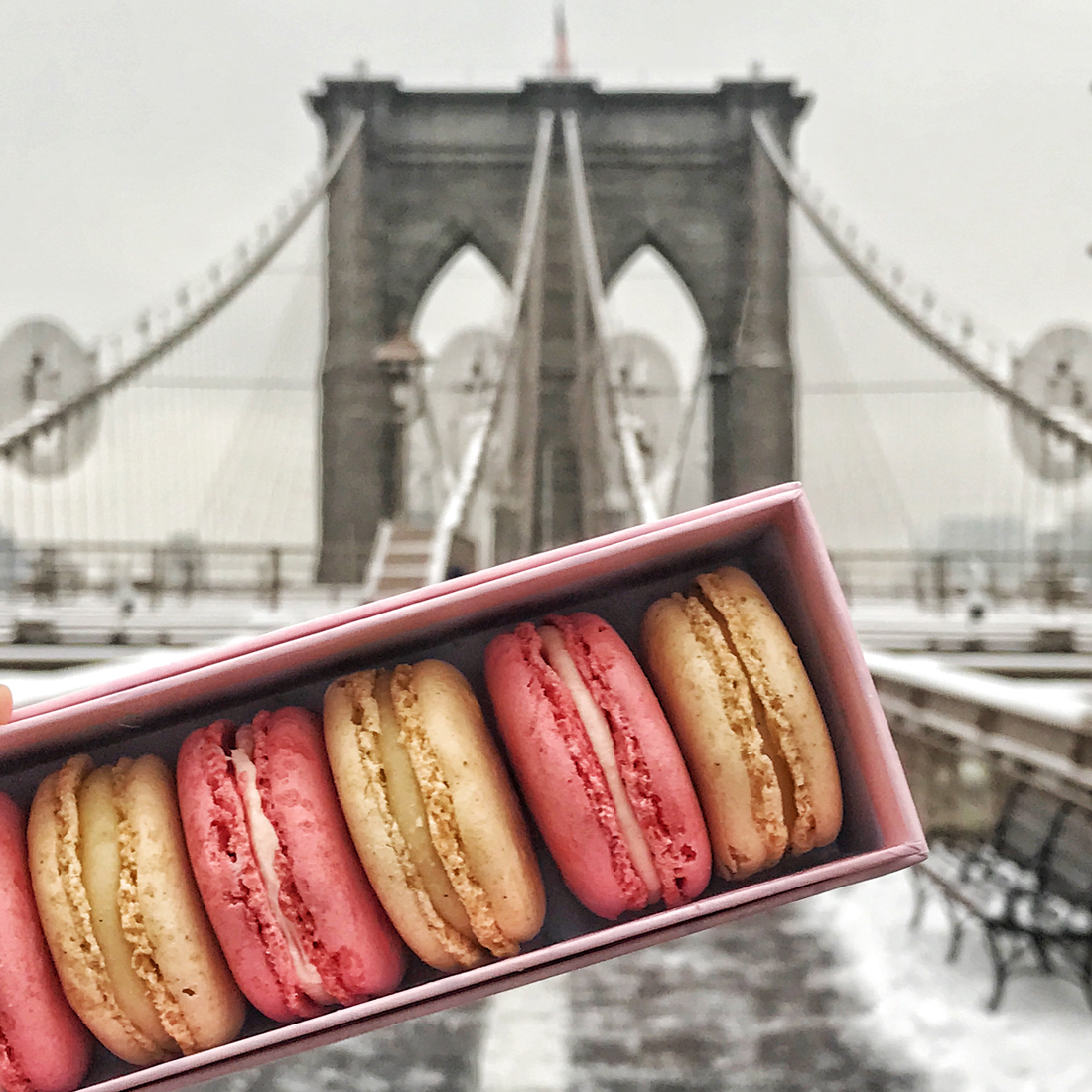 The PINK MACARON Christmas in NYC - The PINK MACARON